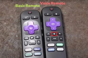 LG TV With Roku: Necessary? + Complete Setup Guide | Smart Home Scope