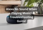 Alexa No Sound When Playing Music? Complete Troubleshooting Guide ...