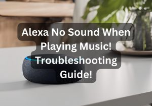 Alexa No Sound When Playing Music? Complete Troubleshooting Guide ...